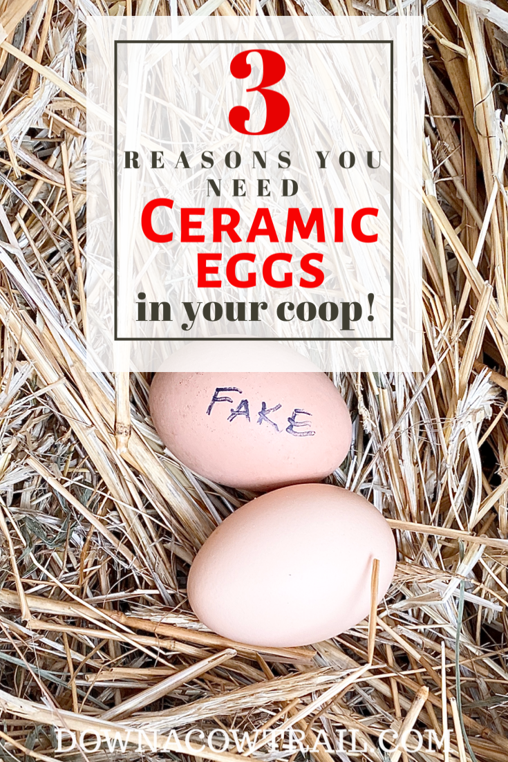 3 Reasons Why You Need Ceramic Eggs in Your Coop ~ Down A Cow Trail