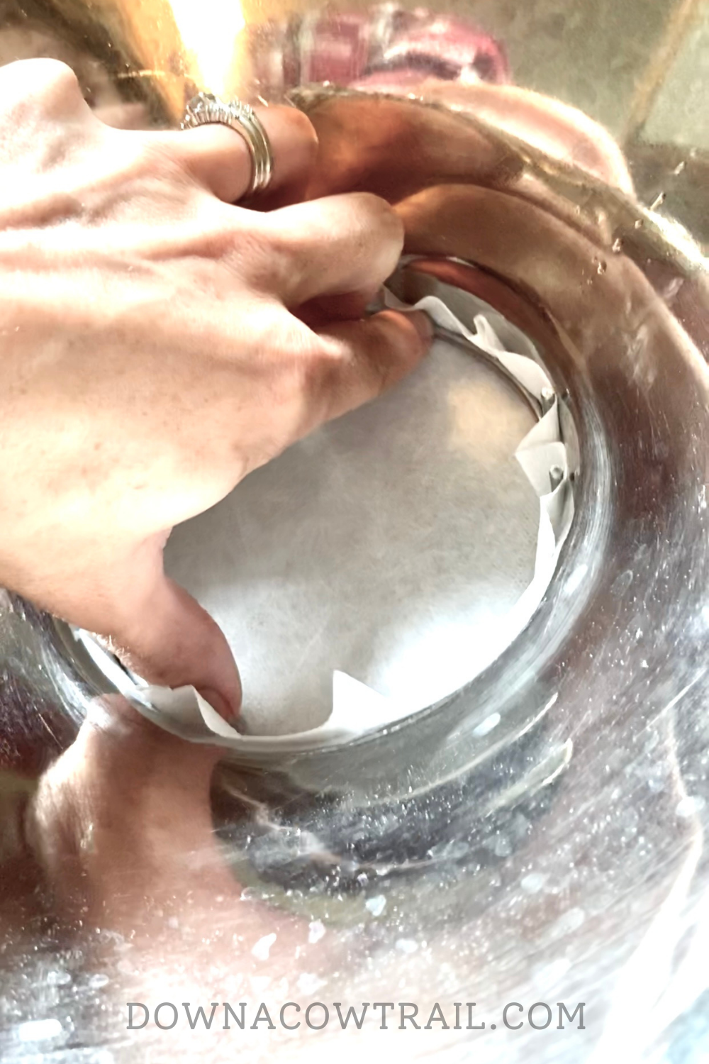 Simple Daily Milking Routine For the Home Dairy ~ Down A Cow Trail DOWN ...