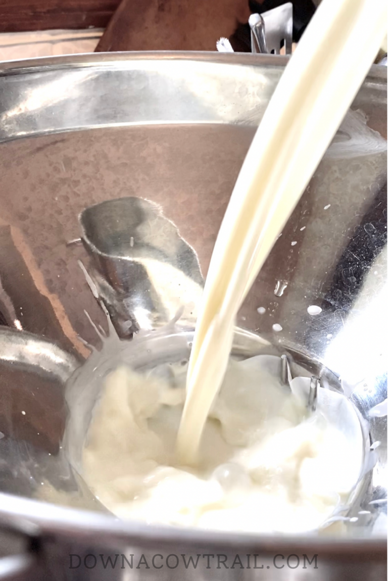 Simple Daily Milking Routine For the Home Dairy ~ Down A Cow Trail DOWN ...