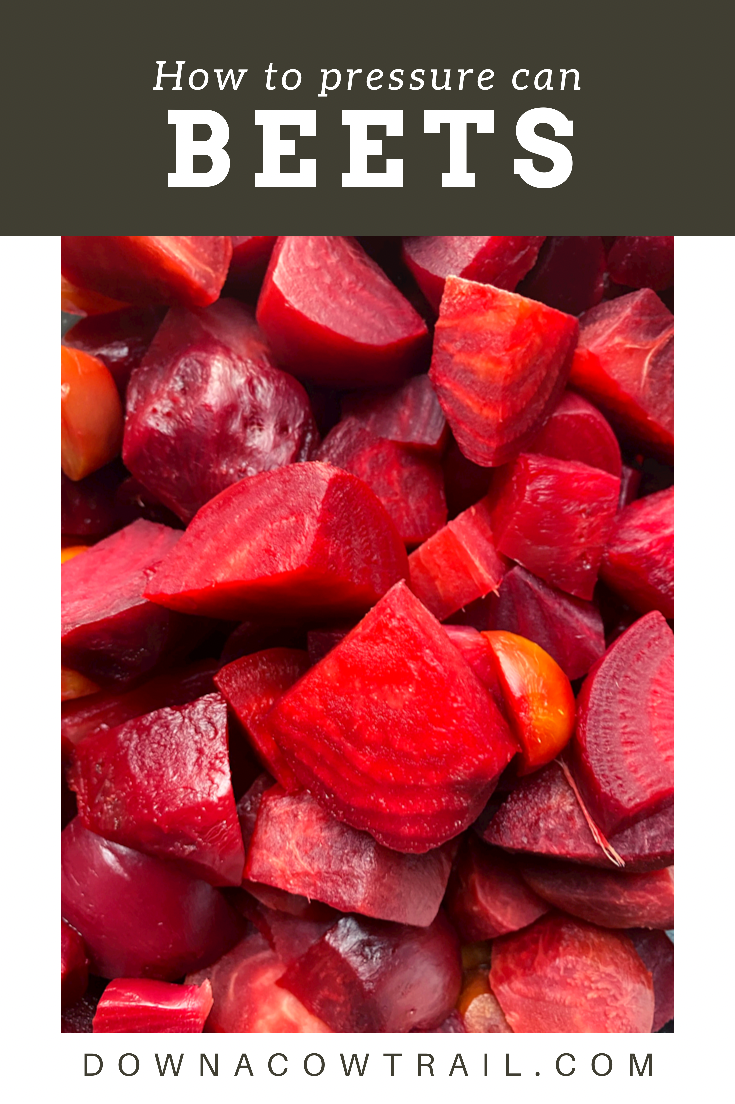 Pressure Canning Beets - A Simple Guide ~ Down A Cow Trail