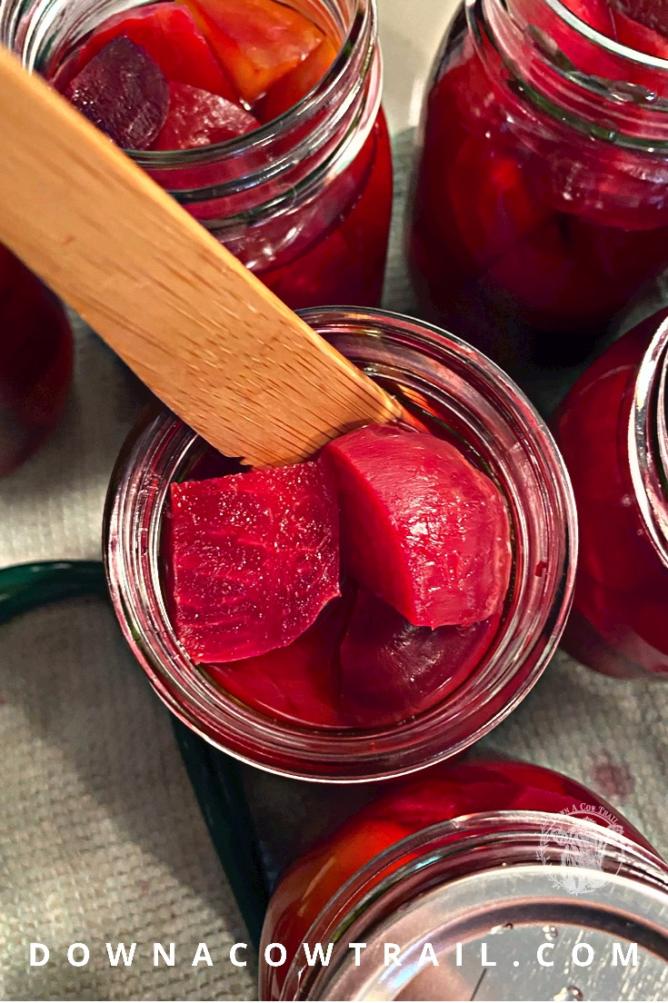 Pressure Canning Beets - A Simple Guide ~ Down A Cow Trail